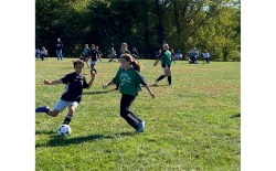 Home [www.sjysa.org]