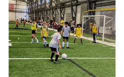 Home [www.sjysa.org]